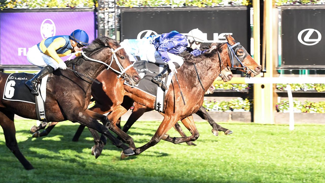 ‘Just awesome': The Map seals Melbourne Cup berth - Racenet