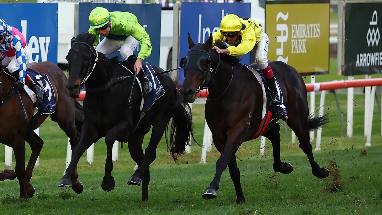 Coast finally clear after two-year absence - Racenet