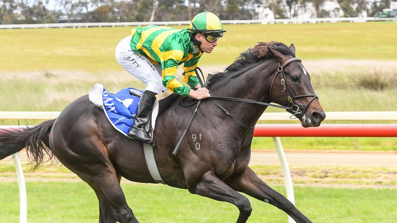 On The Punt: Let Loose at Stawell on Monday