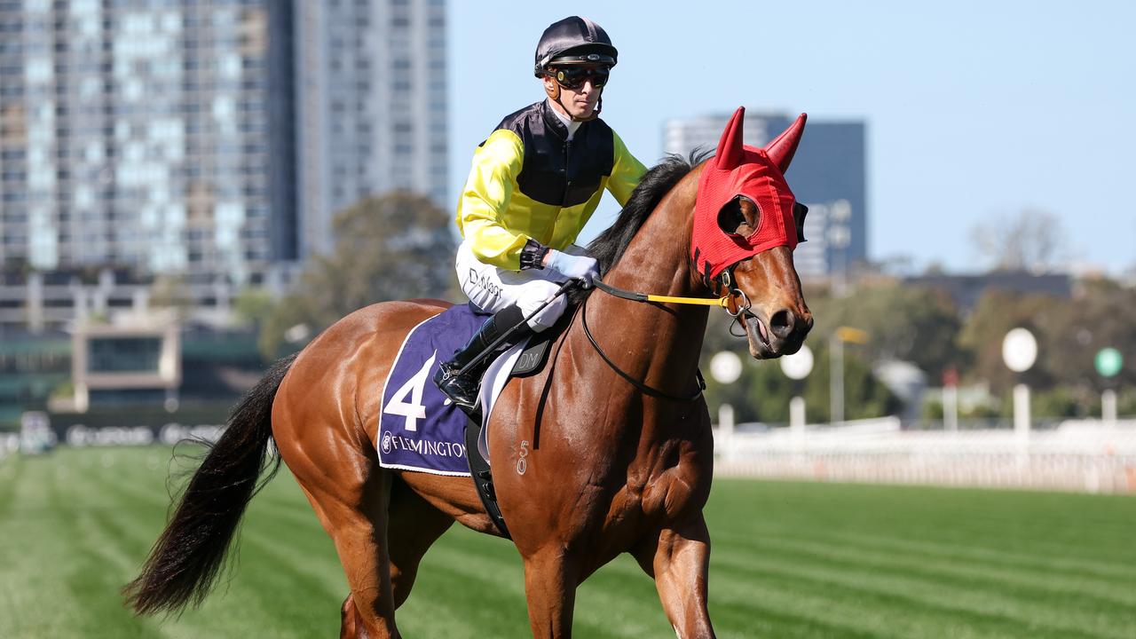 Kylie Schulz in no rush with impressive gelding Surprise Coming