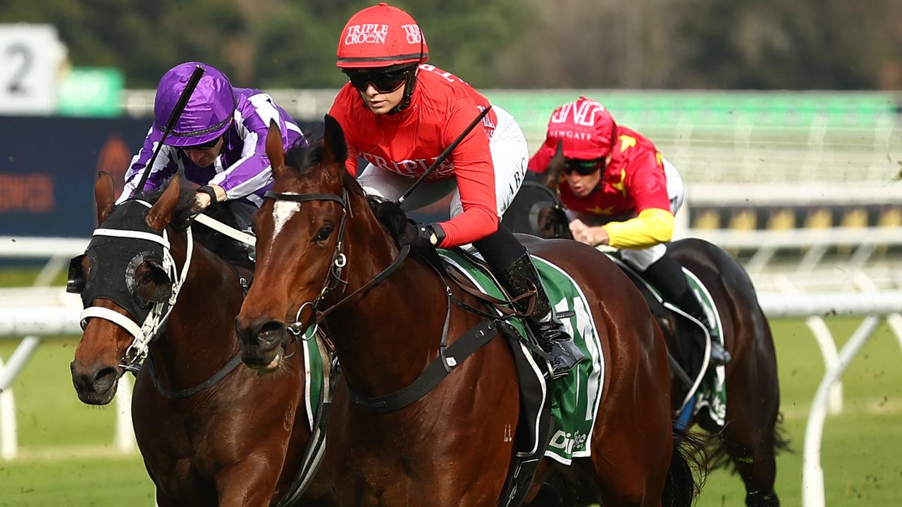 Annabel Neasham trainer: Aemelius may target Queensland Winter Carnival