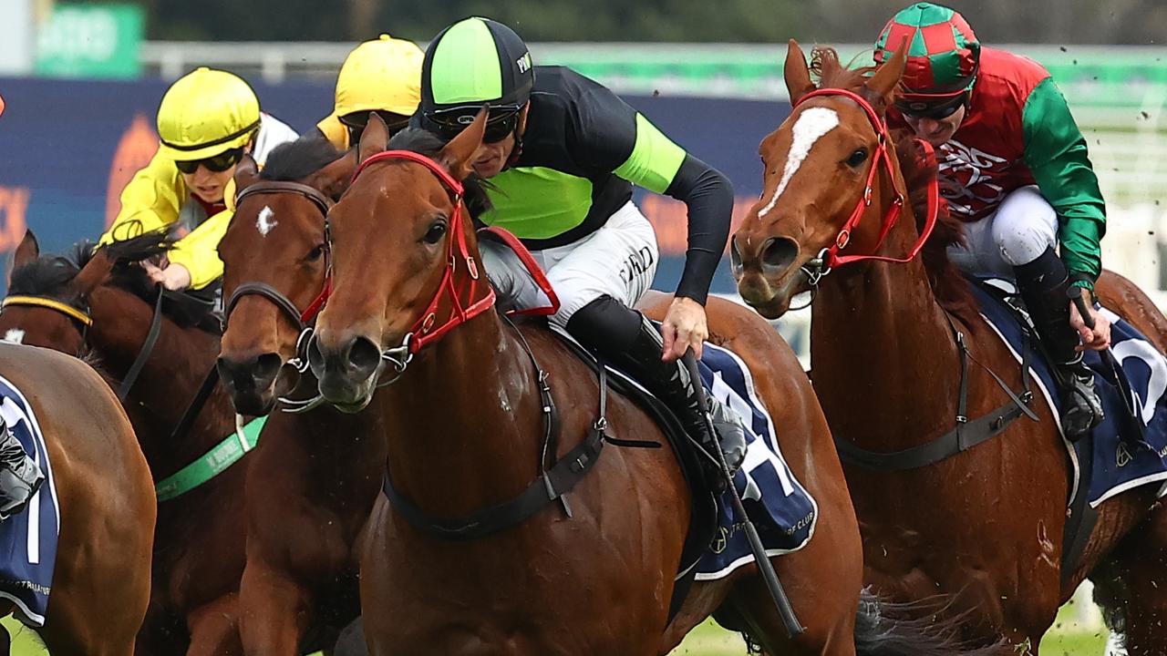 Proven formula unearths another gun Sydney sprinter - Racenet
