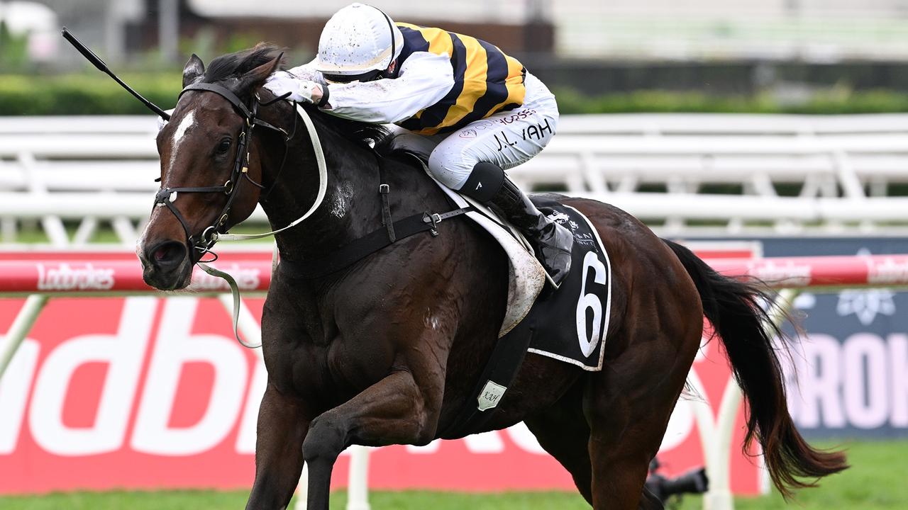 Siarly tiktok xxx this girl converses enough the English