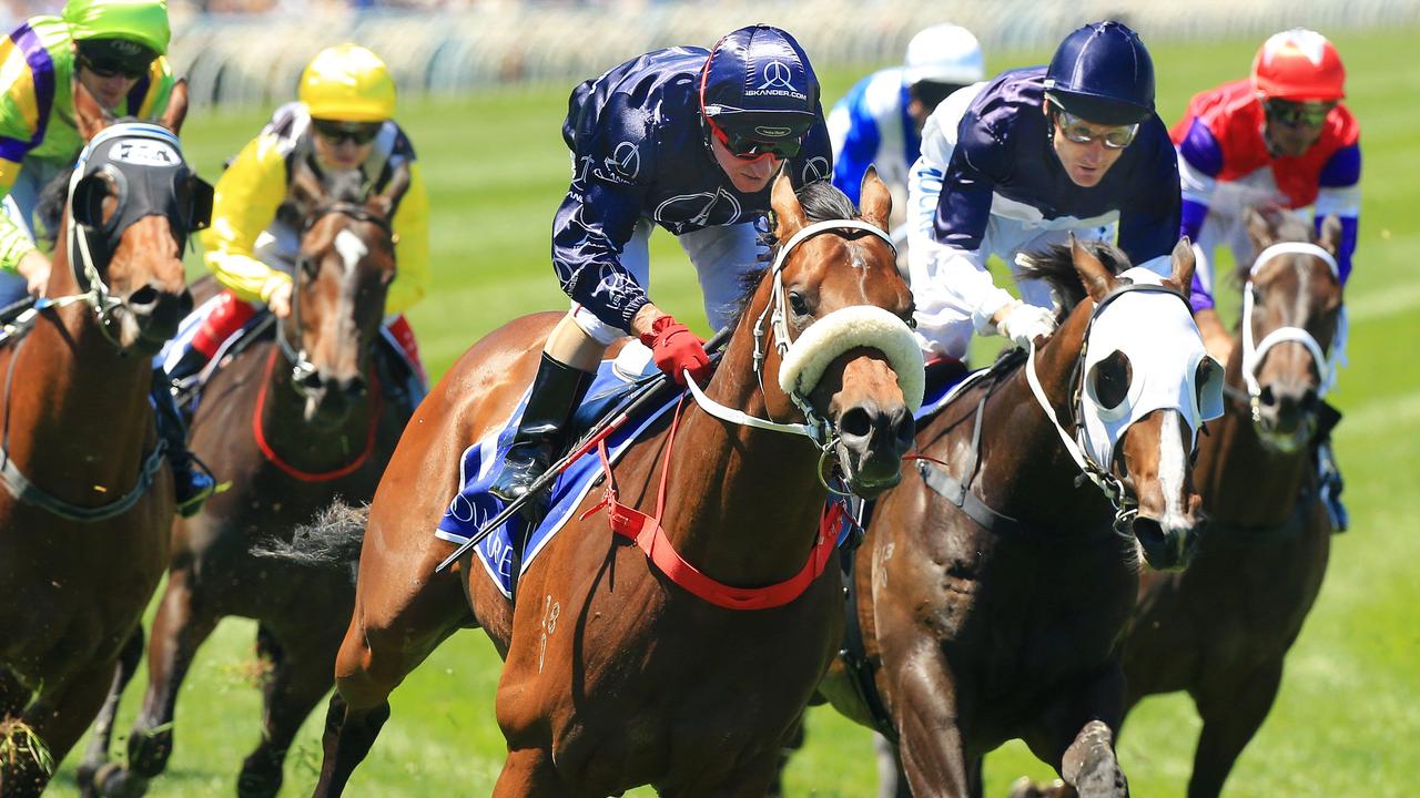 ‘Exceptionally rare': Share in top stallion on Inglis Digital - Racenet