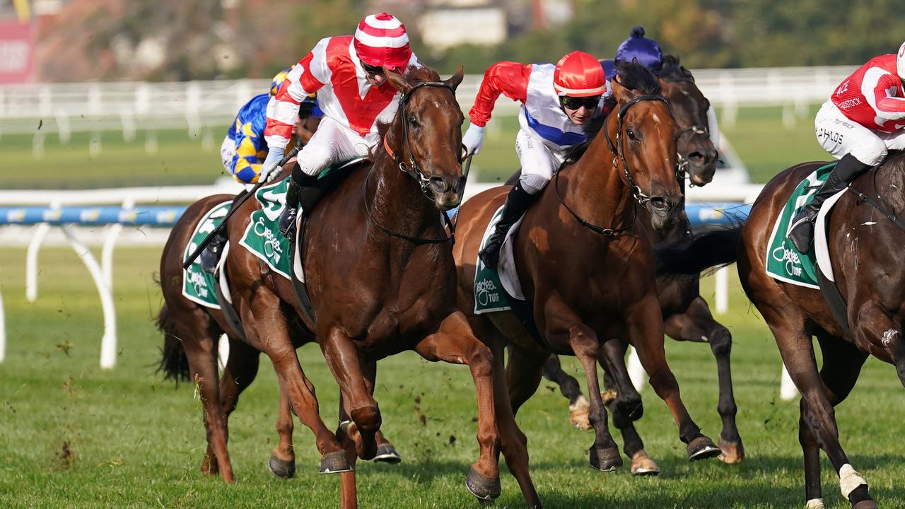 Aaron Mills' Flemington horse racing tips for Saturday, June 8, 2024