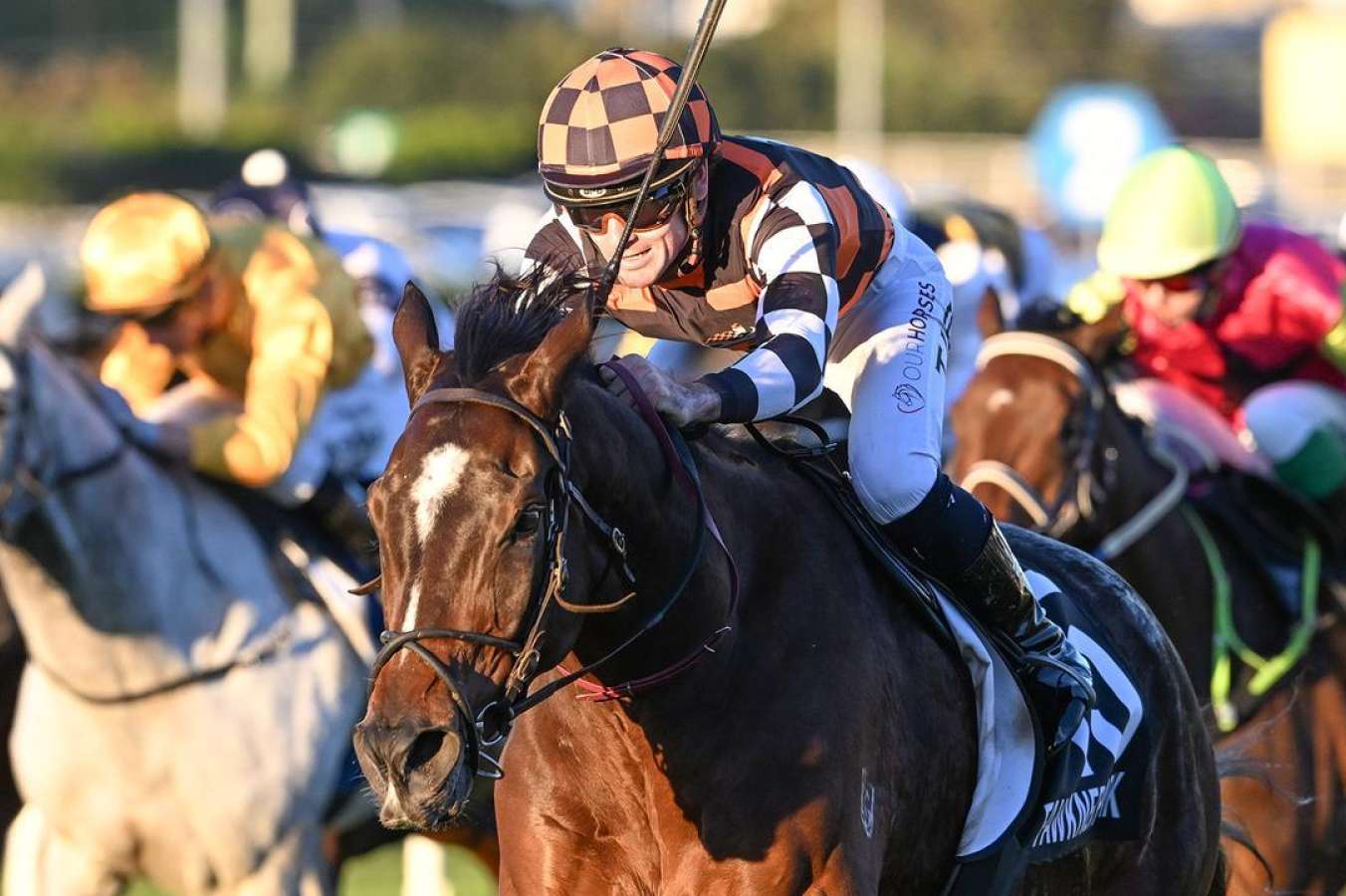 The Q22 2025 - Tips, Odds, Field & Results - Racenet