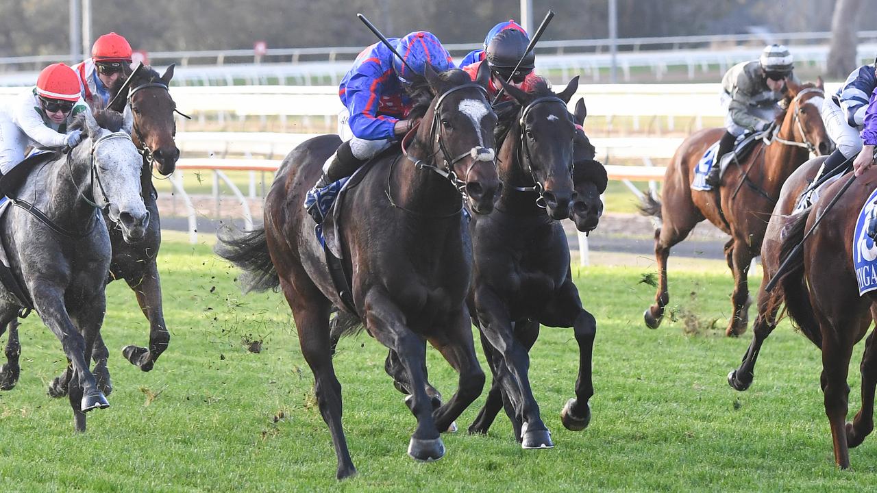 Tips, race-by-race analysis for Sandown: $3 best bet - Racenet