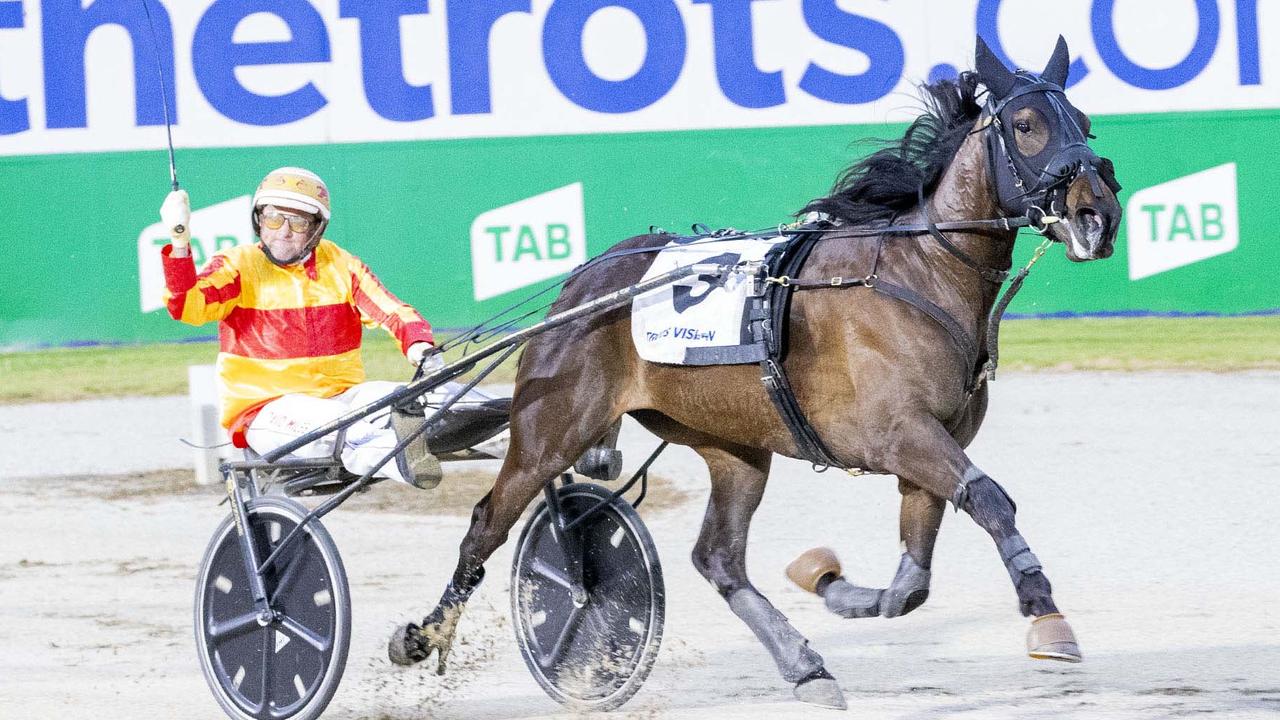 Rockinwithattitude to target Albion Park's feature harness races