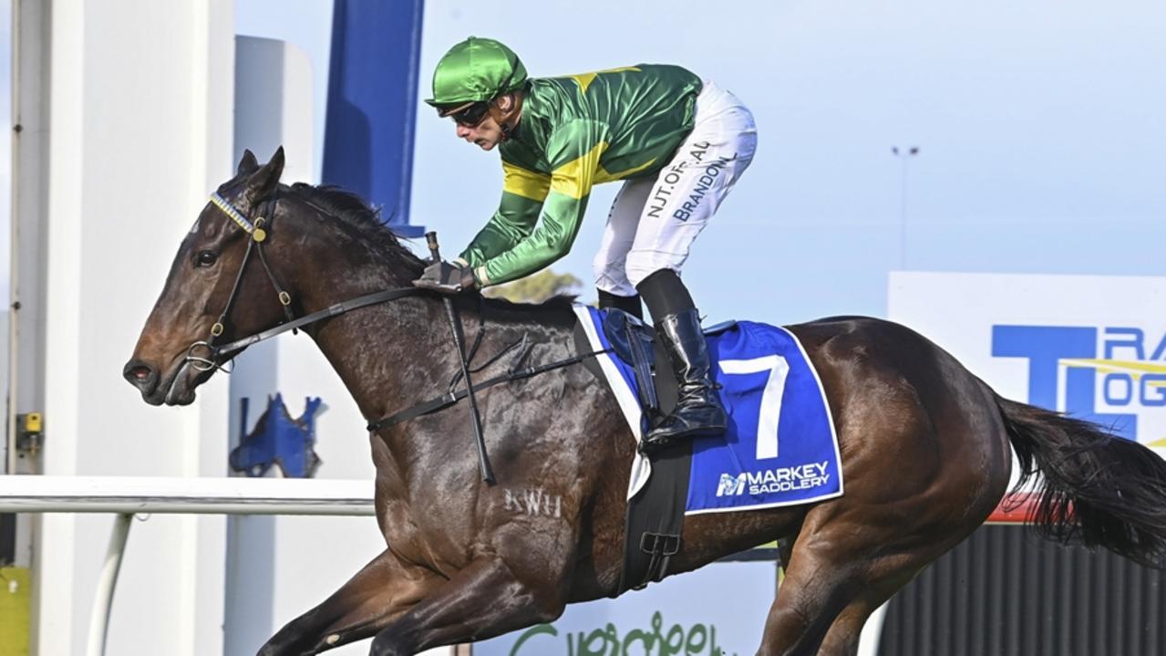 Wyong preview: Gerald Ryan and Sterling Alexiou's Candy Women chasing ...