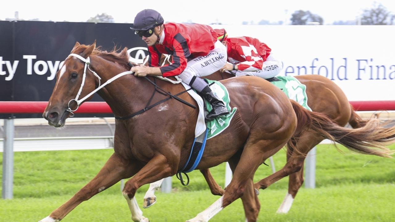 Mudgee tips: Amicus Curiae to prove the punters friend
