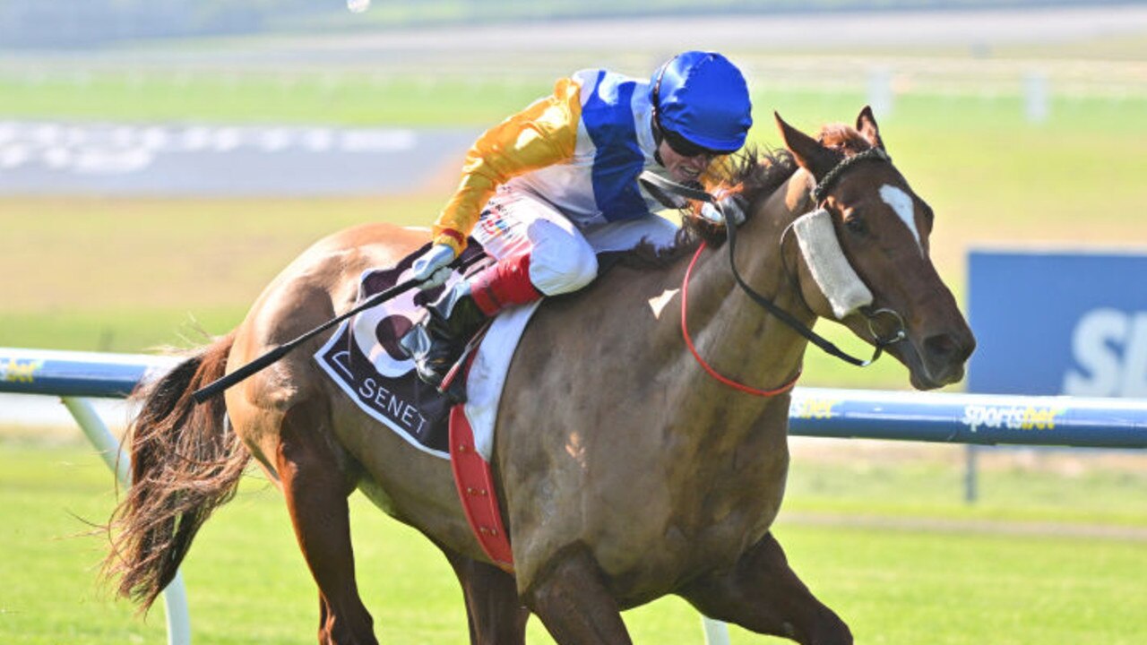 Cameron Happ's Sandown Lakeside tips: $10 for a mudlark