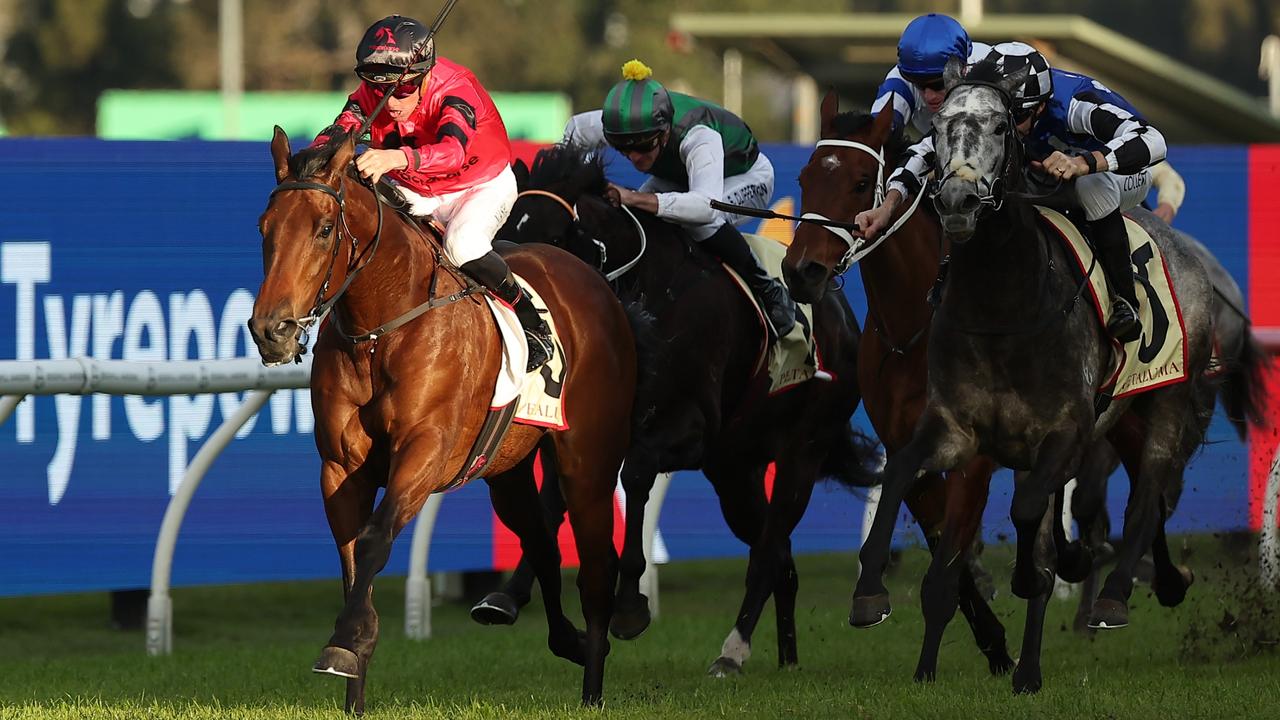 2025 Wagga Gold Cup Tips