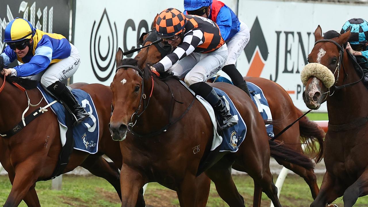 Narrandera tips: Corstens gelding to leave his rivals in a Spin