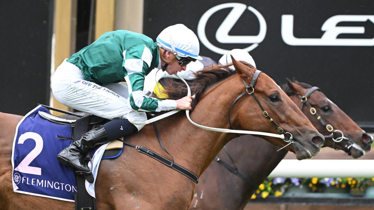 Unbeaten colt First Settler to set course on spring sprint path ...