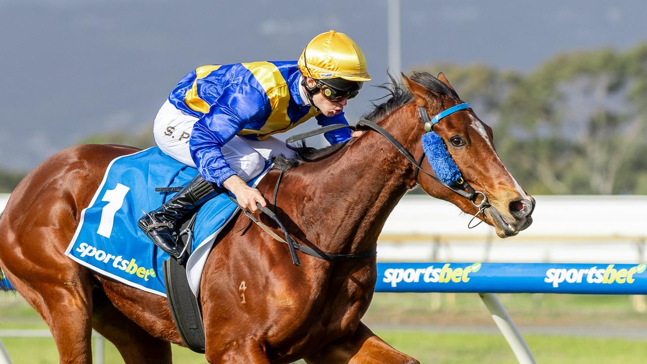 Colmar delivers Group delight for training duo at Morphettville