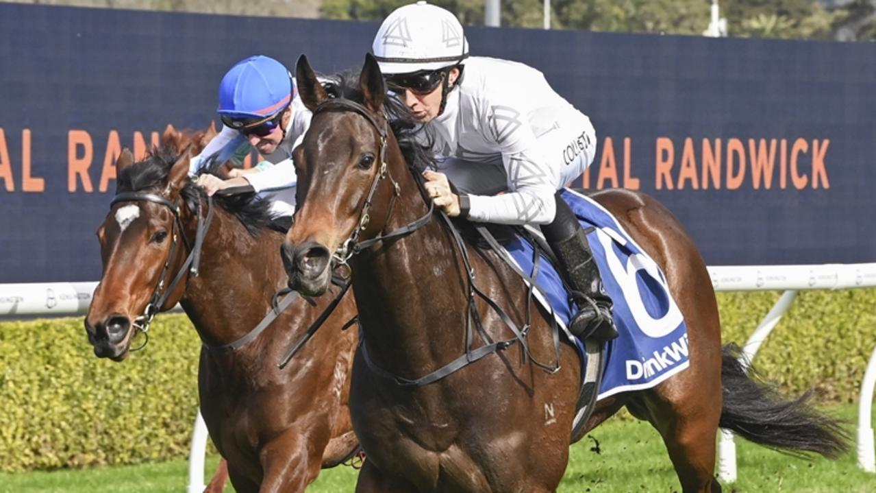 Trainer Peter Snowden sends Sakima to Randwick on Saturday