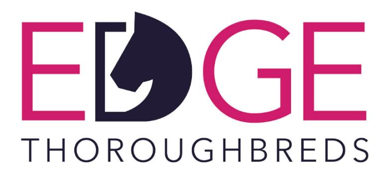 20+ Best Horse Racing Syndicates in Australia - Racenet