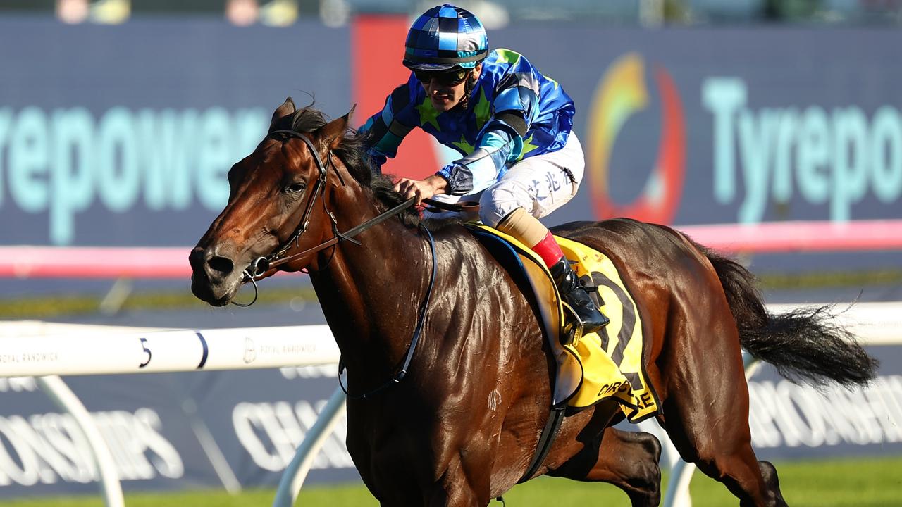 Melbourne Cup 2025 Horses | Horse Details With Tips & Odds | Racenet