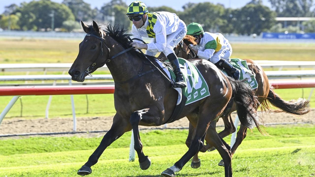 Newcastle, Moree horse racing tips, best bets for Thursday August 8, 2024