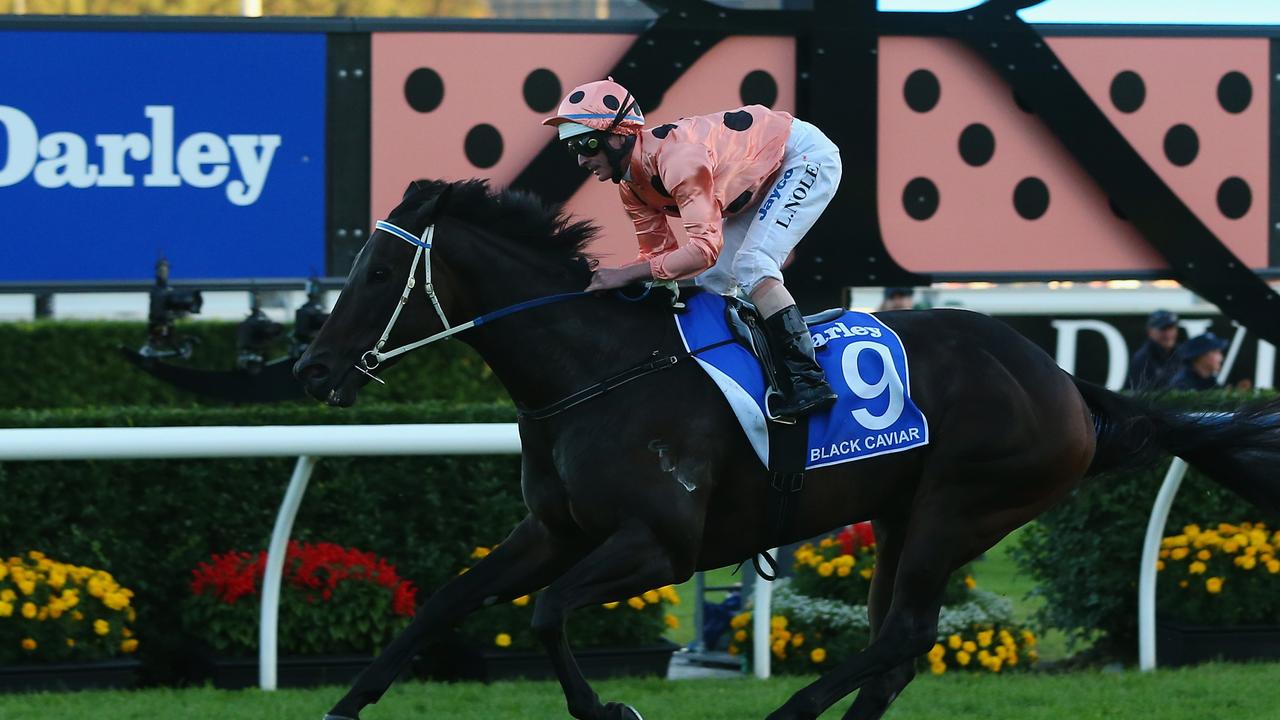 Victory was a forgone conclusion with Black Caviar