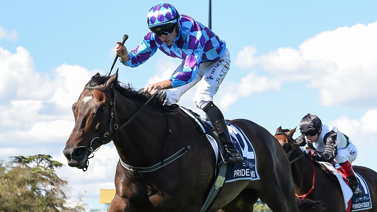 2024 Memsie Stakes nominations: Pride Of Jenni, Mr Brightside entered