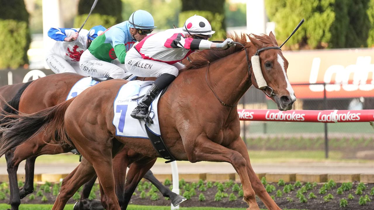 ‘Other than that I can't fault the horse': Enver Jusufovic working on ...