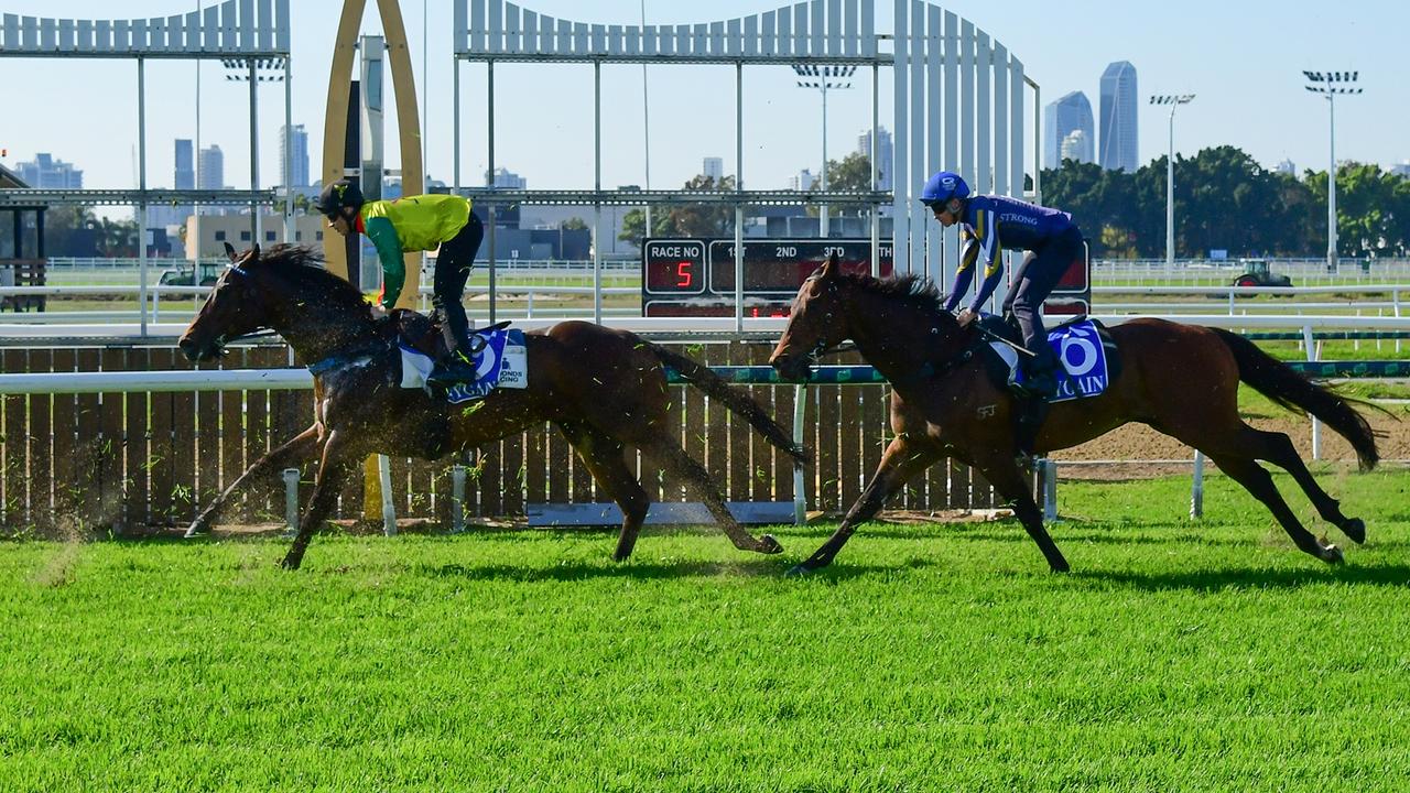 First pictures: Gold Coast grass track gets trial tick from jockeys