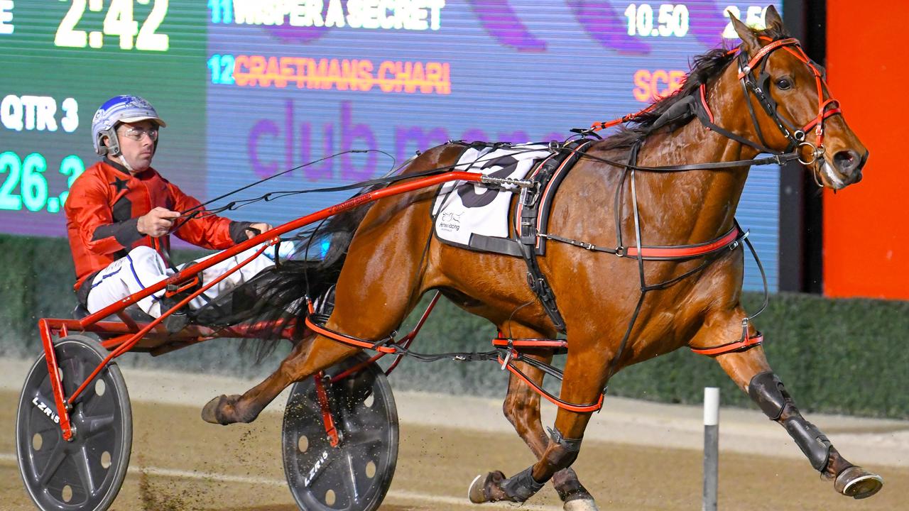 2024 Eureka harness field: Driver Luke McCarthy's big choice