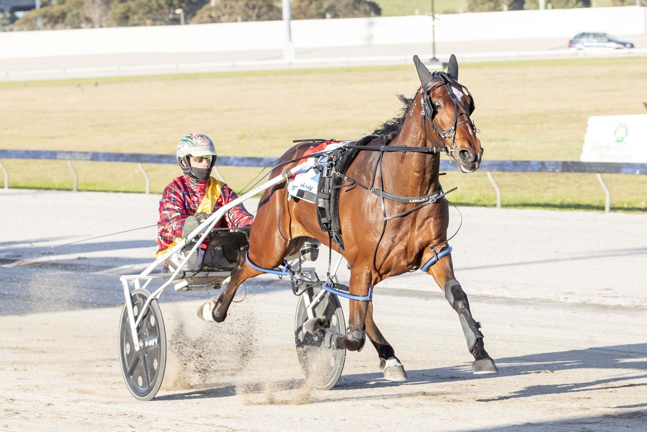 Fighter Command out of Eureka, fighting for life - Racenet