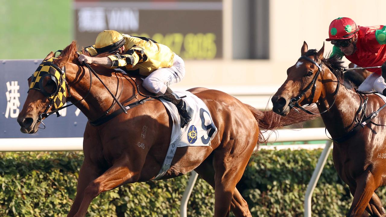 David Hall hopes Flying Ace can open 2024/25 Hong Kong season in style