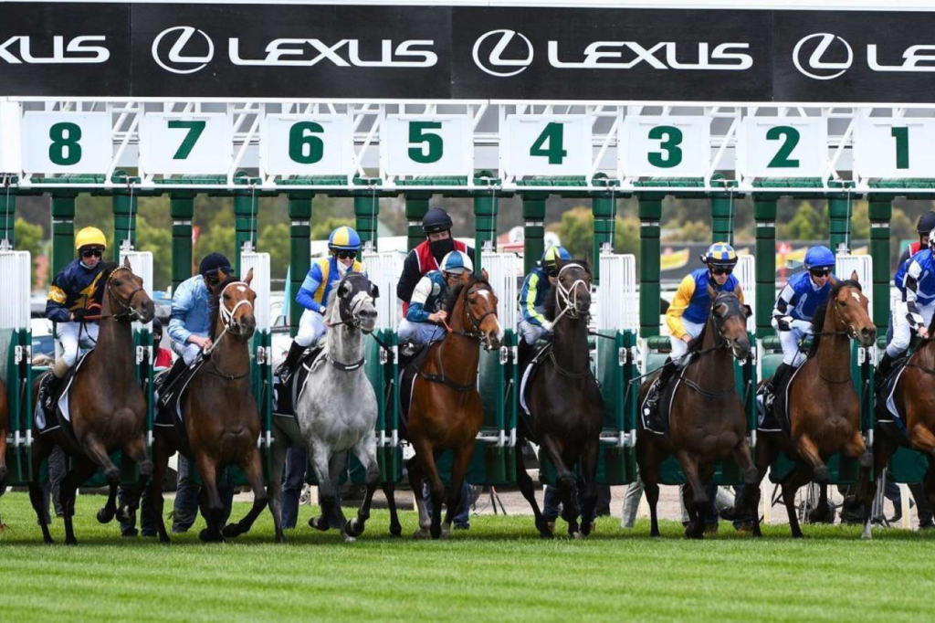 Melbourne Cup 2025 | Latest news, Updates, Tips & Results