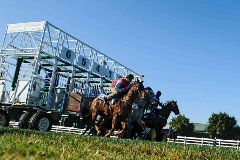Barrier Trials Today | Racing Trial Replays & Results