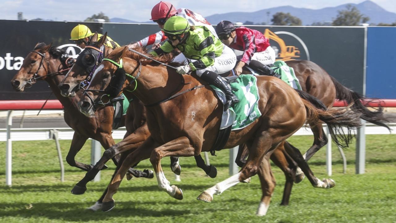 Kempsey, Kembla previews: Cup plans on the line for King Kikau