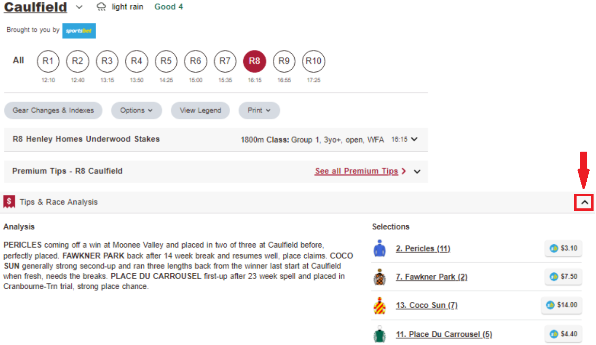 Where Can I Find Racenet Tips?