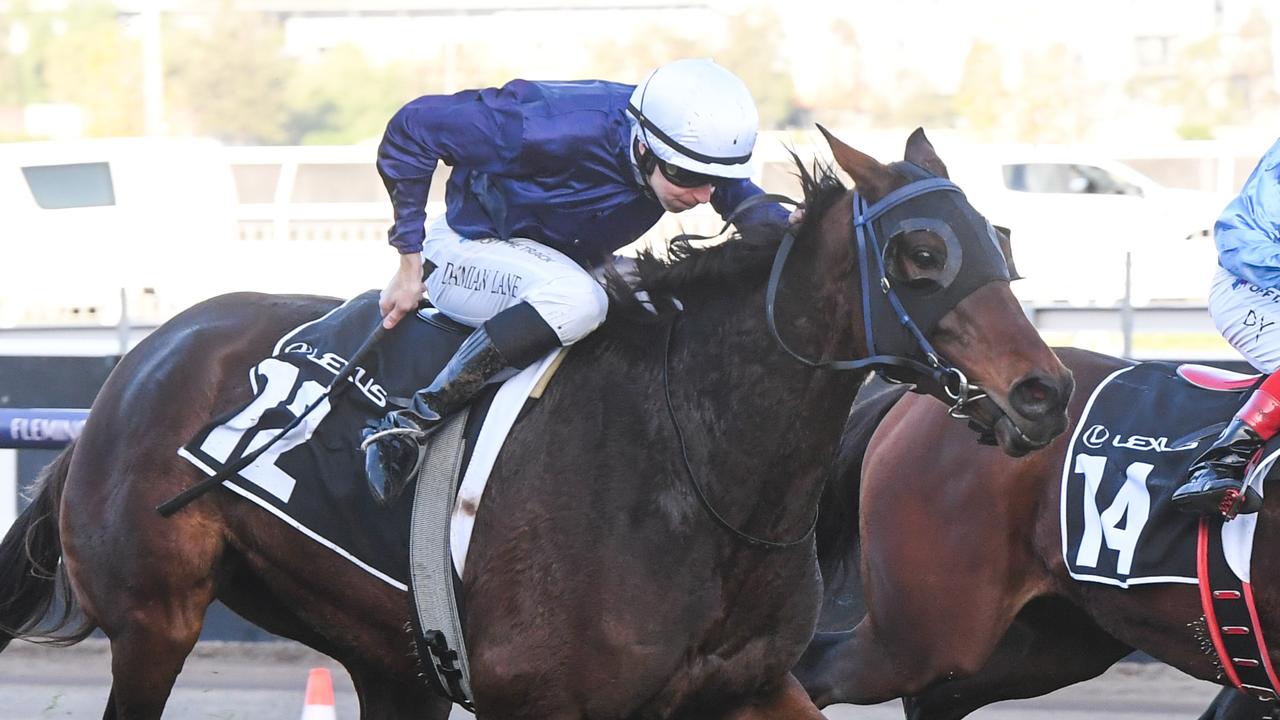Melbourne Cup 2025 Horses | Horse Details With Tips & Odds | Racenet