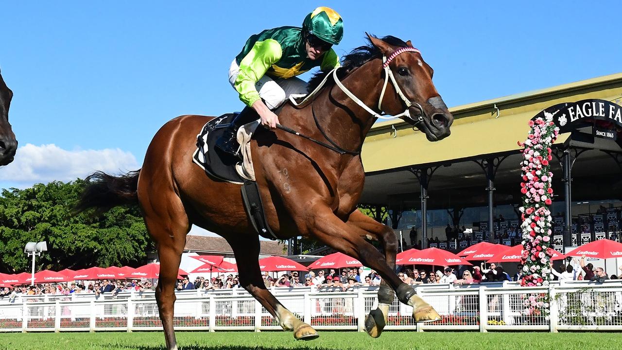 2024 Toowoomba Cup, Weetwood horse racing tips for Saturday