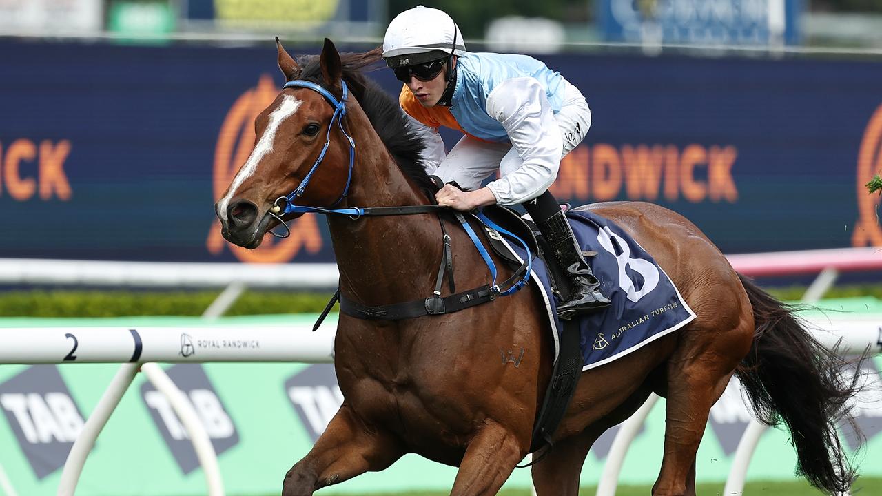 David Payne-trained State Of America wins for Zac Lloyd at Randwick