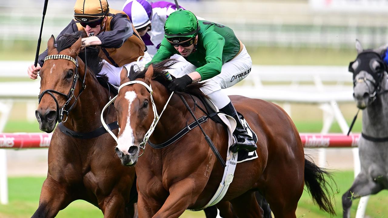 David McColm secures top hoop for Far Too Easy in The Kosciuszko