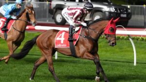 Strathalbyn Racecourse - Form Guide, Track Map & Results