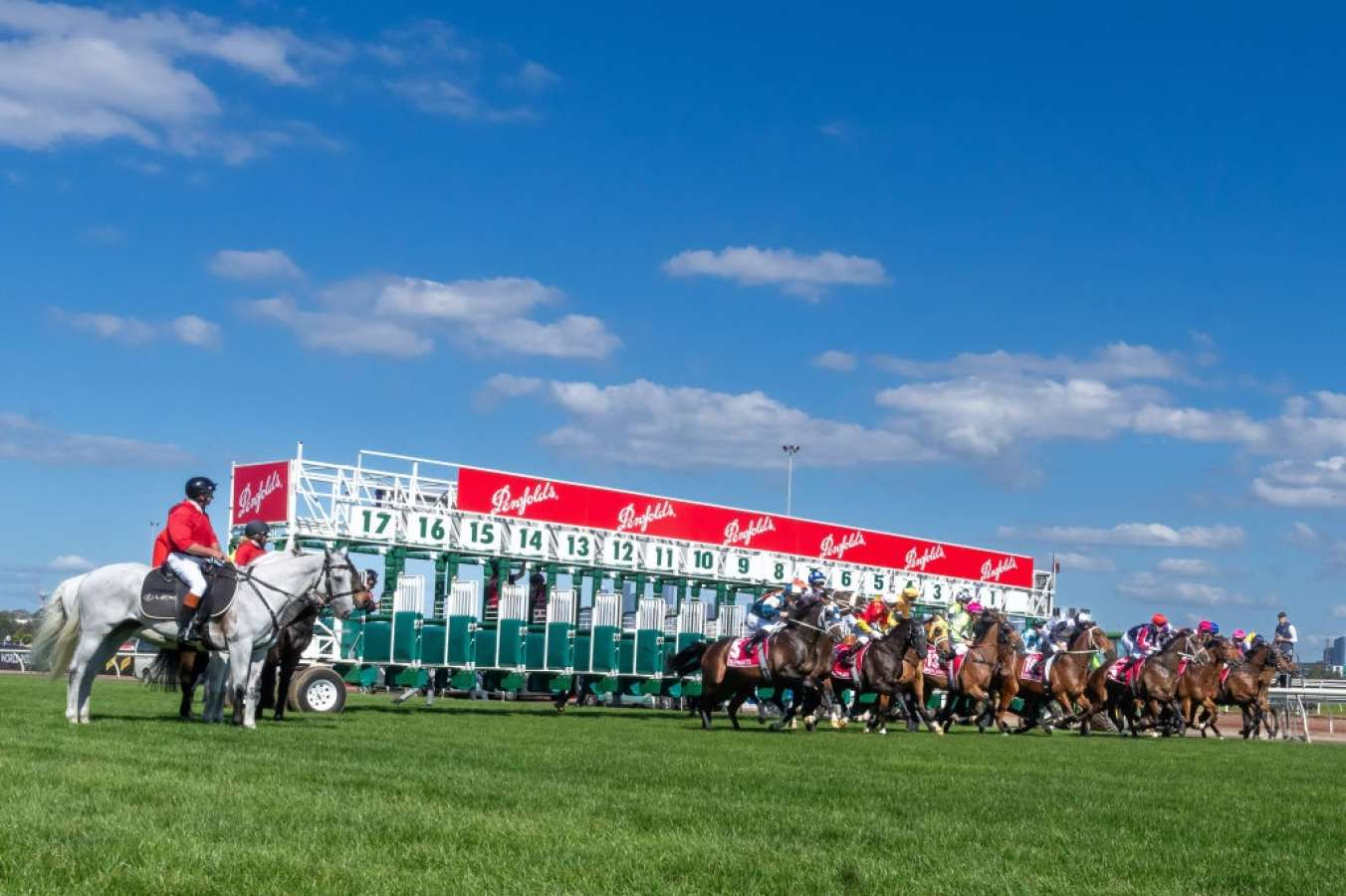 Victoria Derby Field 2025 | Final Field + Barrier Draw