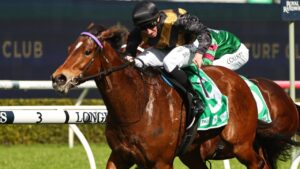 Broome Racecourse - Form Guide, Track Map, Tips & Results