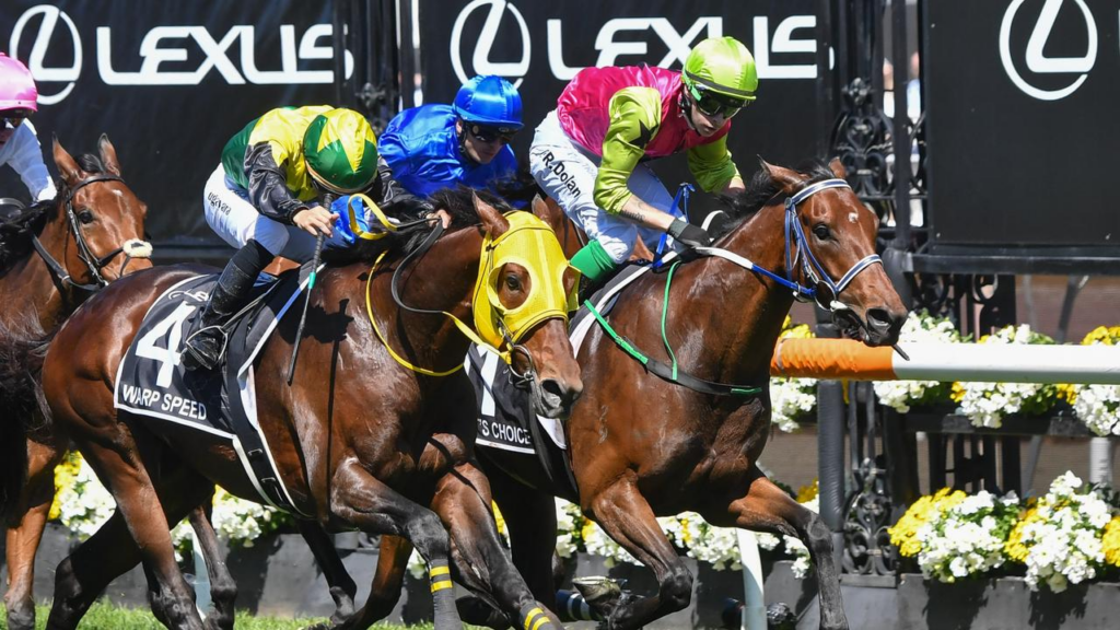 Melbourne Cup 2025 Horses | Horse Details With Tips & Odds | Racenet