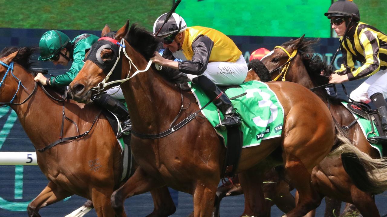 Rosehill preview: Dean Mirfin pair ready to spring a surprise