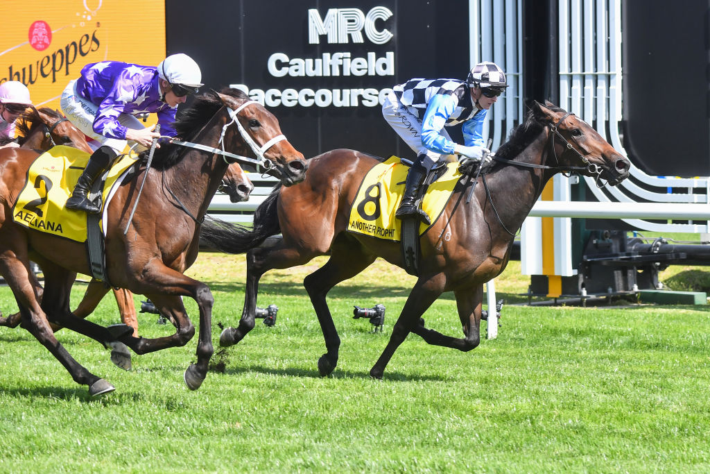 Thousand Guineas 2025 | Tips, Odds, Field & Results | Racenet