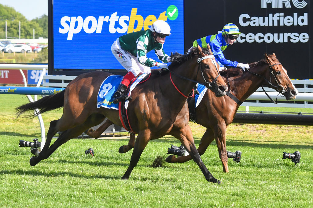 Sir Rupert Clarke Stakes 2025 | Tips, Odds, Field & Results | Racenet