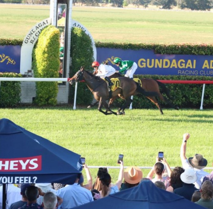 Snake Gully Cup 2025 Tips, Betting & Results - Racenet