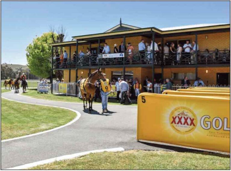 Snake Gully Cup 2025 Tips, Betting & Results - Racenet