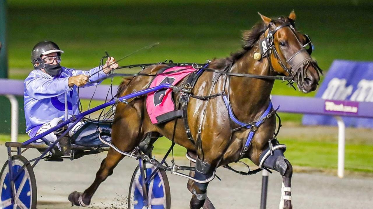 Harness racing: Minstrel tuned up for Inter Dominion assault