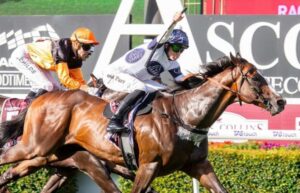 Group 1 Racing News - Racenet