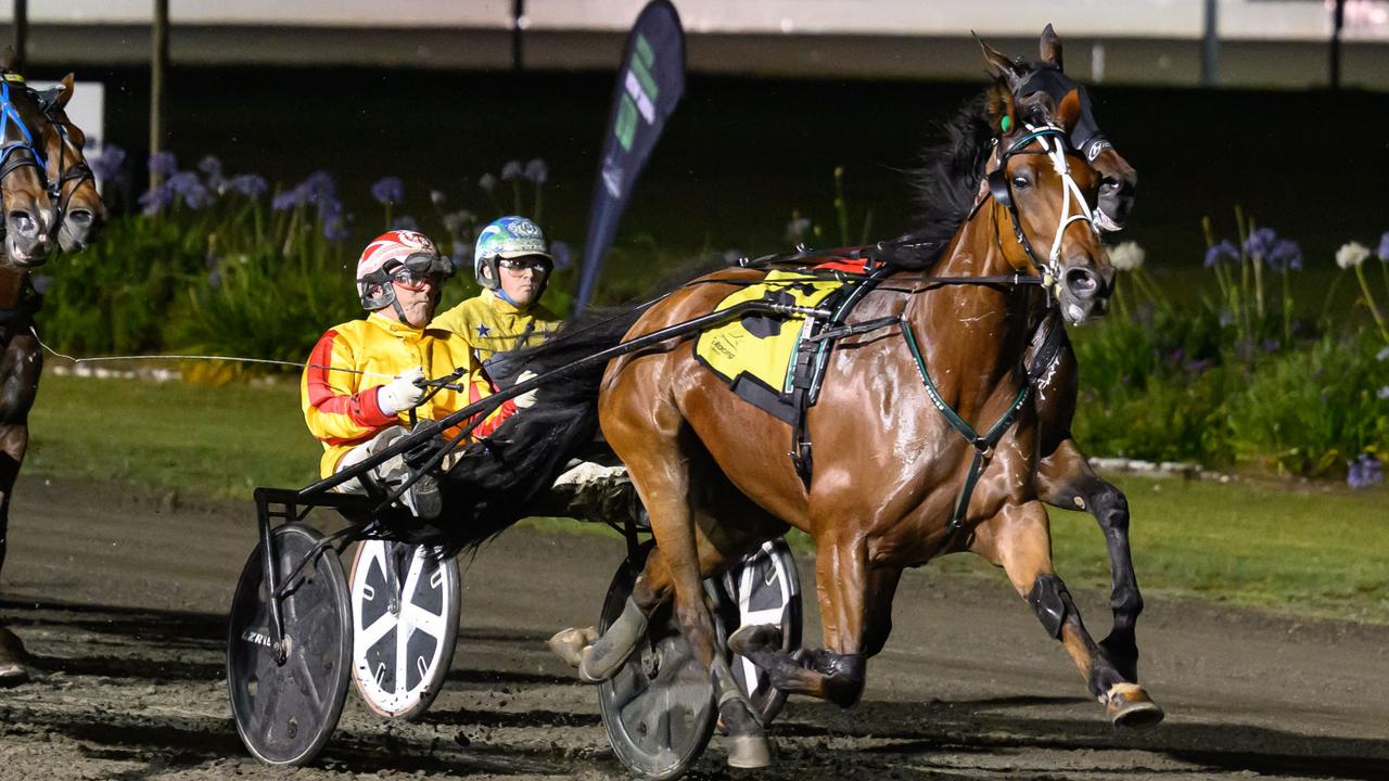 Harness racing: Brent Lilley confident Queen Elida can seize her chance ...
